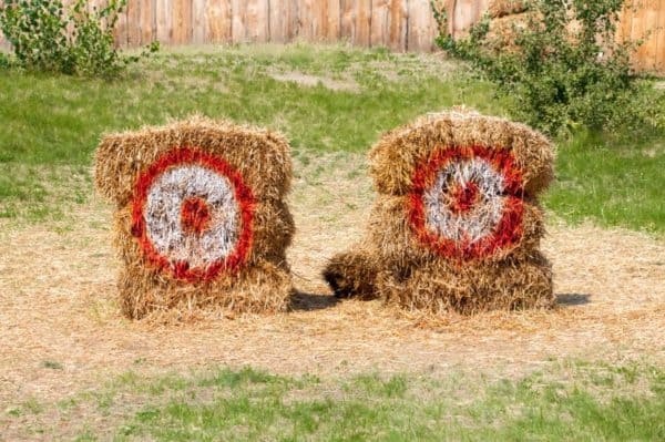 Can you use broadheads to shoot targets? - Archers Hub